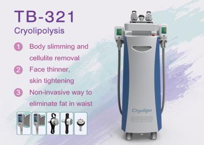 China 10.4Inch Face and Body Cryolipolysis Slimming Machine Fat Frezzing / Skin Tightening for sale