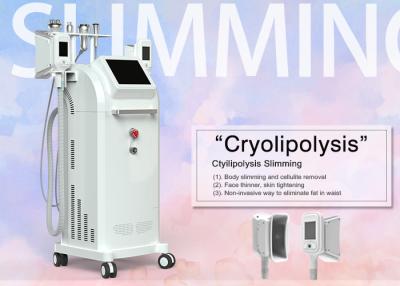 China 5 Treatment Handles Comfortable Body Sculpting Cool Fat Freezing Machine for sale