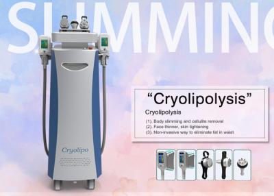 China 5 Handles Cool Shaping Face and Body Cryolipolysis Slimming Machine For Skin Tightening for sale