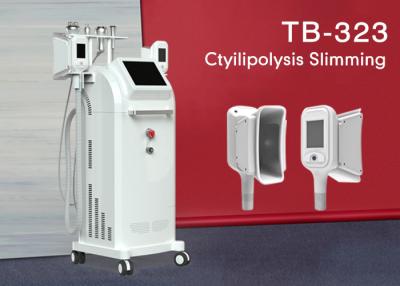 China Fat Freeze Cryolipolysis Slimming Machine 4 Handles Belly Fat Removal Machine 1800W for sale