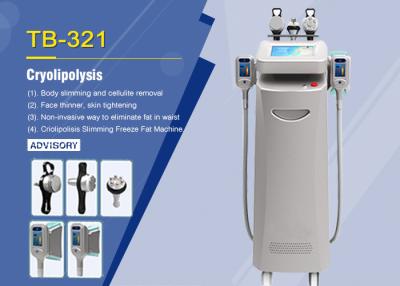 China 5 Handles Cryolipolysis Kryolipolyse Fat Freezing Equipment For Body Shaping And Slimming for sale