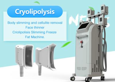 China Cryolipolysis Fat Freeze Slimming Machine With Touch Screen 4 Handles for sale