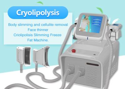 China Lipo Laser Fat Freeze Cryolipolysis Slimming Machine With 12 Inch Touch Color Screen for sale