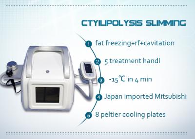 China RF Cryo Ultrasound Cavitation Cryolipolysis Fat Freeze Slimming Machine for Spa / Hospital for sale