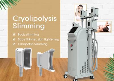 China Vertical Cryolipolysys Fat Freeze Slimming Machine With 3.5 Inch Touch Screen for sale