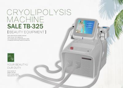 China Desktop Cryolipolysis Fat Freeze Slimming Machine With Touch Screen CE Approved for sale