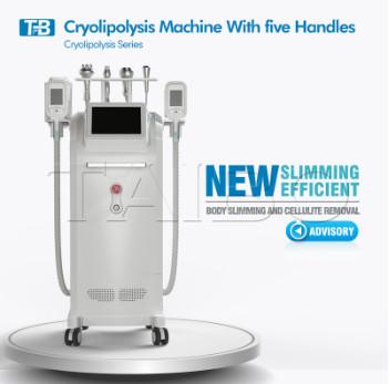 China Cryolipolysis RF Cavitation Machine 5 Handles Treatment For Face & Body Slimming for sale