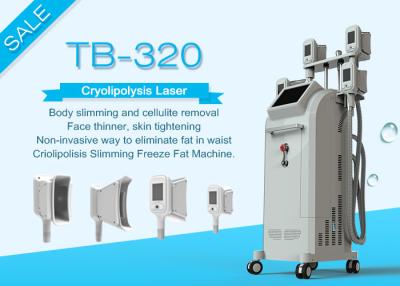 China 4 Handles Weight Loss Cryolipolysis Fat Freeze Slimming Machine For Salon for sale