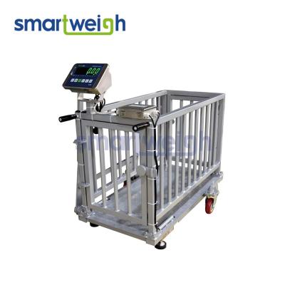 China Heavy Duty Carbon Steel Digital Livestock Scales 600kg Pig Sheep Cattle Weighing Scale for sale