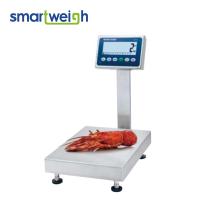 China Mettler Toledo BBA238 150kg Capacity Bench Scale Stainless Steel Platform for Vietnam Seafood Weighing for sale