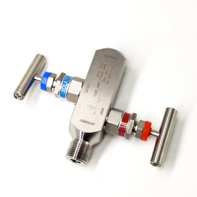 China 304 Stainless Steel Two Valve Group with 60 MPa Max Pressure and 1/2