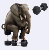 China Customized Logo Rubber-Covered Hex Dumbbells for Gym Fitness Equipment in Hexagon Shape for sale