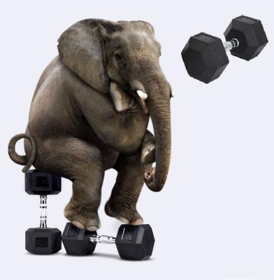 China Customized Logo Rubber-Covered Hex Dumbbells for Gym Fitness Equipment in Hexagon Shape for sale