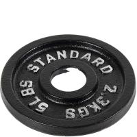 China Commercial Cast Iron Barbell Weight Plates 5 10 25 35 45 lb for Bodybuilding Fitness for sale