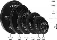 China Gym Fitness Cast Iron Weight Plates Bumper Plate for Strength Training and Exercise Muscle for sale