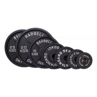 China Unisex 20 kg 45 lbs Cast Iron Barbell Weight Lifting Plate for Gym Processing Painting for sale