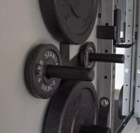 China Black Steel Home Gym Fitness Wall Mounted Barbell Weight Plate Holder Rack for sale