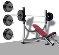 China Black Steel Home Gym Fitness Wall Mounted Barbell Weight Plate Holder Rack for sale