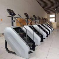 China Custom Logo Stair Climbing Machine for Commercial Cardio Stepper Gym Fitness Equipment for sale