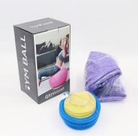 China 55cm 65cm 75cm Stability Pilates Fitness Gym Exercise Yoga Ball for Home Gym Core Training for sale
