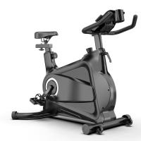 China Stepless Resistance 4kg Flywheel Indoor Spin Bike for Silent Home and Gym Workout for sale