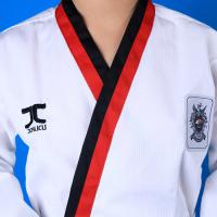 China Taekwondo Equipment Taekwondo Dobok Taekwondo Female Poomsae Uniform for sale
