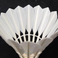 China 5g Weight White Goose Feather Shuttlecocks ideal for Badminton Training and Competition for sale