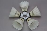 China 5g Weight White Goose Feather Shuttlecocks ideal for Badminton Training and Competition for sale