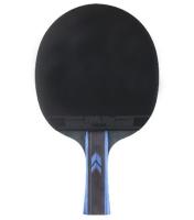 China Poplar Wood Bottom Hard Case Waterproof Table Tennis Racket Travel Bag Set with Customized Logo Printing for sale