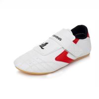 China kung fu light weight sports shoes Martial arts shoes White black Taekwondo Shoes training equipment for sale