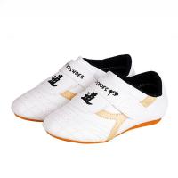 China kung fu light weight sports shoes Martial arts shoes White black Taekwondo Shoes training equipment for sale
