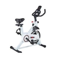 China Silent Portable Spin Bike Customized Logo and Steel Construction for Home Exercise for sale