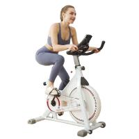 China Black 101*50*114 cm Professional Gym Fitness Spin Bike for Home and Commercial Exercise for sale