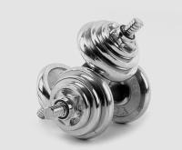 China 20kg 50kg Electroplated Iron Dumbbell Round Plate Weight Equipment Chromeplated Barbell for sale