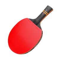 China 170g Custom Logo Sports Team Rubber Pingpong Racket with Balls Table Tennis Paddle Set for sale