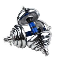 China Unisex Gym Home Weightlifting Dumbbell Set 20kg Cast Iron Chrome Weights with Cases for sale