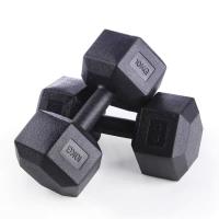 China Custom Logo Dumbbells Color 5KG Cement Dumbbells For Women Sand Plastic Cement Dumbbell for sale