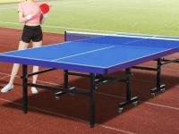 China Cheap Outdoor SMC Table Tennis Tables 25 mm Outdoor Pingpong Table for sale