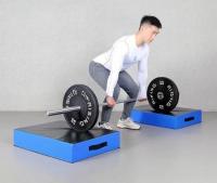China Gym Flooring Mat Barbell Drop Pads Weight Lifting Silencer Drop Pads Barbell Crash Cushion Pad for sale