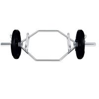China Weight Lifting Shrug Deadlift Squat Trap Bar 50mm Barbell Bar for sale