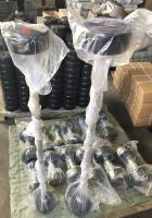 China China Wholesale Fitness Equipment Different Weight Fixed Straight EZ Curl Rubber Barbell for sale