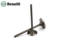 China Motorcycle Engine Valve Set Motorcycle Genuine Parts For Benelli TNT250 BN250 BJ250 for sale