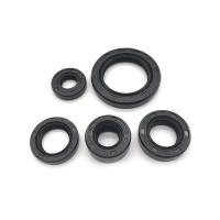 China Full Complete Engine Rubber Oil Seal Set Motorcycle Replacement Parts Suzuki GN125 GS125 Engine Seal Kit for Performance for sale