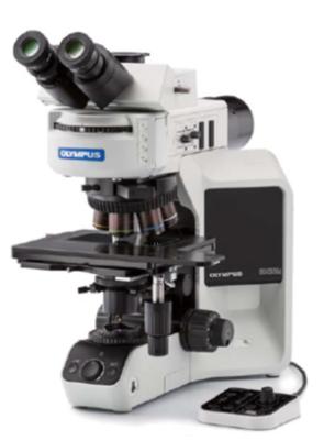 China Metallographic microscope BX53M for sale