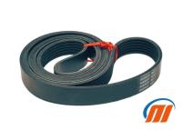China 3103697 8PK1625 Excavator Engine Parts Hyundai QSM11 Engine Fan Belt for sale