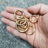 China Zinc Alloy Metal Spring Snap Hooks Clip Buckle O Rings for Keychains Bags 25mm for sale