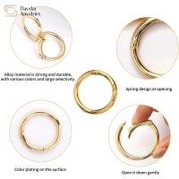 China Heavy Duty Metal O Rings Keychain Webbing Belts Hardware Accessories for sale
