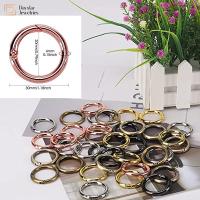 China Zinc Alloy Metal Keychain Rings , Snap Hook Clips Spring Gate O Ring for sale