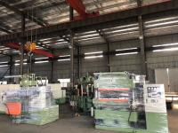 China Automatic Rubber Compression Molding Press for sale