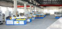 China Parallel Co- Rotating Twin Screw Extruder for Engineering polymer & glass fiber reinforcement Pelletizing for sale